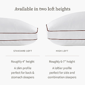 Saatva Latex Pillow - High Loft (6" - 7”) - Hypoallergenic Pillow with Shredded Latex Core - Breathable - Machine Washable Organic Cotton Cover - Queen (28"x16") 1 Pack