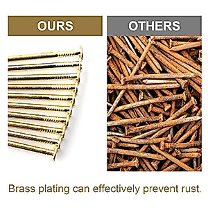 6 Sizes Gold Hardware Nails Assortment Kit, 358pcs, Brass Plated, Nails for Hanging Pictures, Finishing Nails, Wood Nails, Wall Nails for Hanging (3”, 2”, 1-1/2”, 1-1/4", 1”, 3/4")