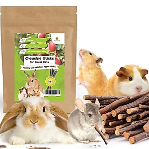 SunGrow Apple Sticks, 200g (7 oz) Wood Chew Sticks for Rabbits, Chinchillas, Bunny, Hamster, Squirrel, Guinea Pigs, 6" Small Animals Molar Pet Chew Toys Treat Sticks for Teeth Grinding, 40 Per Pack