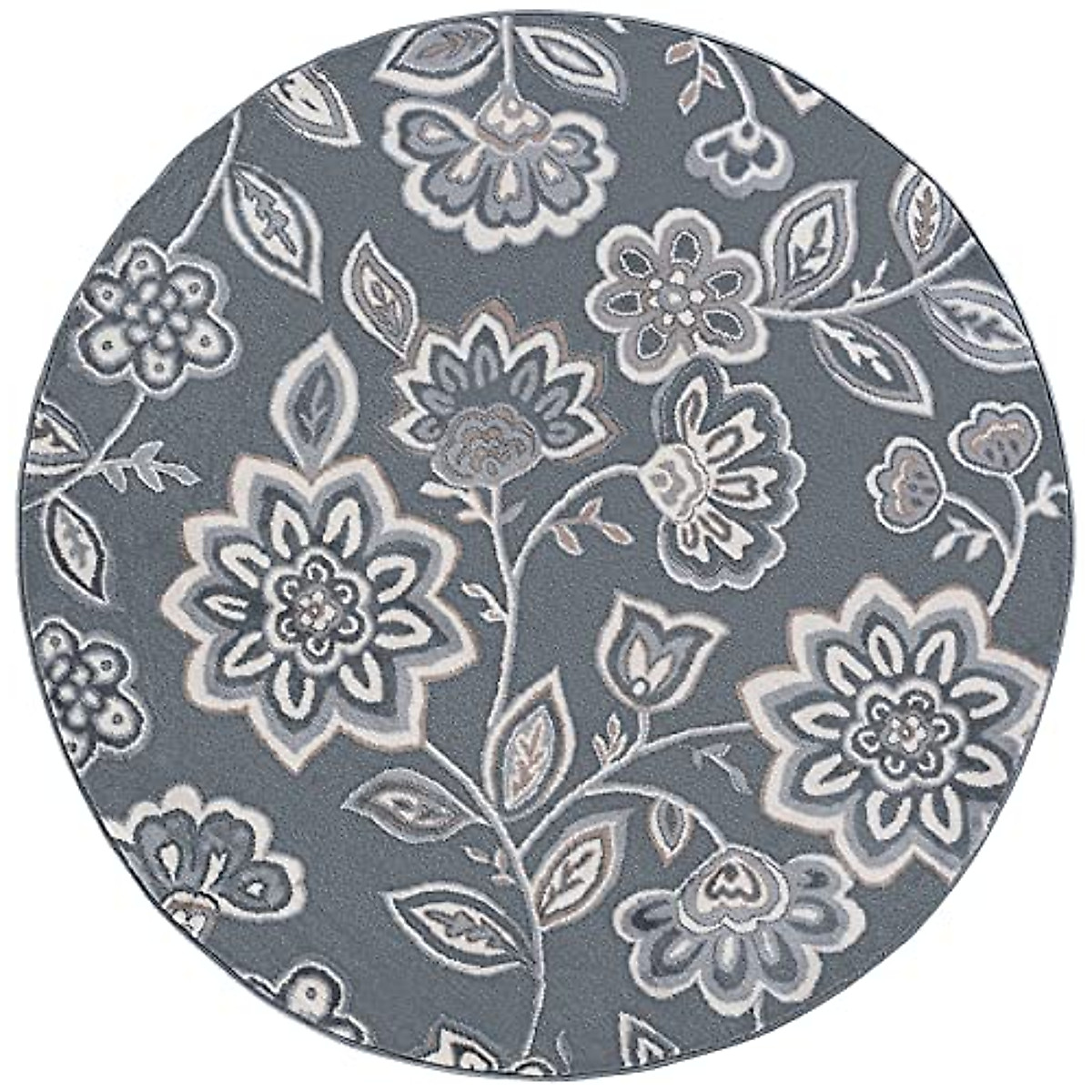 Emmalyn Transitional Floral Gray Round Area Rug, 8' Round