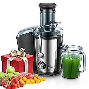 Juicer Machines Vegetable and Fruit, 800W Powerful Juilist Centrifugal Juicer Machines Easy to Clean with Brush, Dual Speeds Juice Extractor Machine with Large 3'' Feed Chute & Anti-Drip