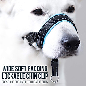 GoodBoy Dog Head Halter with Safety Strap - Stops Heavy Pulling On The Leash - Padded Headcollar for Small Medium and Large Dog Sizes - Head Collar Training Guide Included (Size 2, Pink)