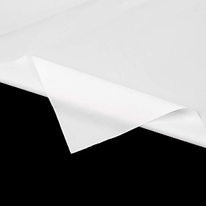 IUPPA Semi-Translucent Curtain Rear Projection Screen with The Size of 4ft x 6ft