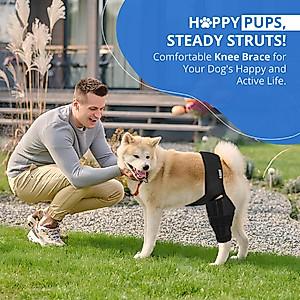 YSPet Premium Dog Knee Brace for Torn ACL/CCL - Universal ACL Knee Brace for All Four Legs - Adjustable Straps – Ideal Dog Leg Braces for Back Leg Support and Recovery.