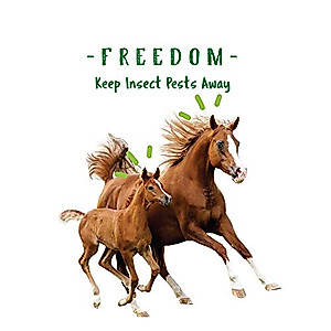 Manna Pro Nature's Force Bug Clear | All Natural Equine Supplement for Insect Control | 2 Pounds