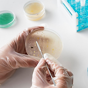 2PCS Stainless Steel Lab Laboratory Mini Double-Ended Spatula Micro Square/Round End Spatula, 6.2"