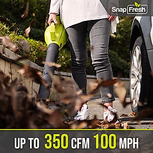 SnapFresh Leaf Blower Cordless - 350 CFM Cordless Leaf Blower with 4.0Ah Battery & Fast Charger, 20V Electric Battery Powered Leaf Blower for Yard Porch Garden
