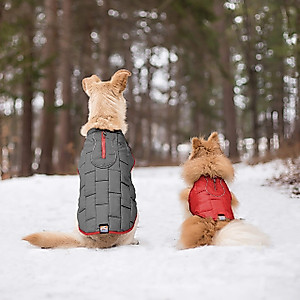 Kurgo Loft Dog Jacket, Reversible Dog Coat, Wear with Harness or Sweater, Water Resistant, Reflective, Winter Coat for Small Dogs (Chili Red, S)