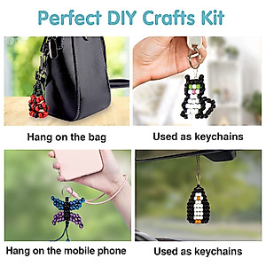 TBC The Best Crafts 641 PCS Bead Pets Crafts for Kids Pony Beads Pet Keychain Craft Kit DIY Keychain Kit Create Your Own Backpack Hook Keyring Lanyard Clips Kit Craft Projects Art Toys for Girls Boys
