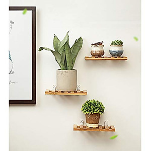 HomDSim 10 inch Bamboo Wall Shelves with Seamless Nail Creative Solid Wood Decorative 3 Pack Shelf Floating Storage Shelves for Kitchen Living Room Bathroom