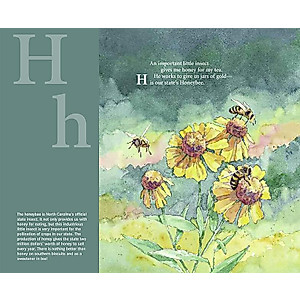 T is for Tar Heel: A North Carolina Alphabet