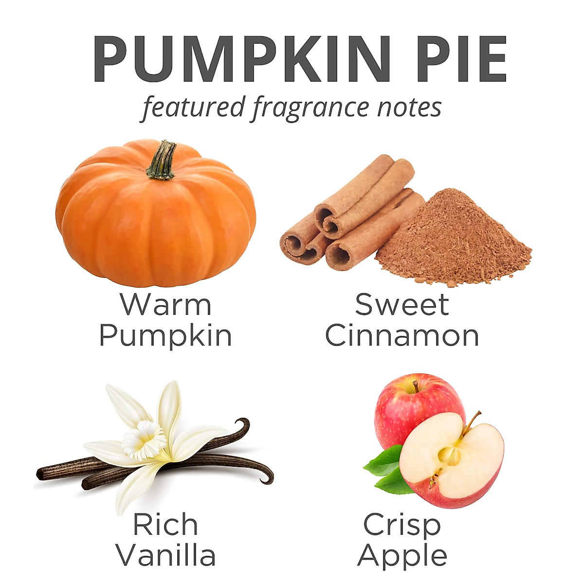 Birthday Cake Scented Candle for Home | Non Toxic Long Lasting Soy Candles | Delicious Scent | One Pint Mason Jar | Hand Made in The USA by Stillwater Bath and Body