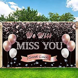 Trgowaul Retirement Farewell Party Decorations,Rose Gold We Will Miss You Sign Banner Backdrop Goodbye Party Decorations,Going Away Party Retirement Party Bye Office Work Graduation Party Decorations