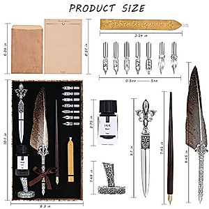 Vintage Quill Pen Ink Set,Feather Quill Pen with Wooden Calligraphy Pen, Including 7 Different Sizes of Nib, Calligraphy pen Set Gift & Women and Man(Grey)