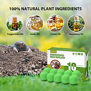 MAGIC CAT Mole Repellent for Lawns, 10 Pack Natural Castor Oil Vole Repellent Outdoor Pet Plant Safe, Gopher Repellent Mole Deterrent to Keep Mole Vole Groundhog Out of Your Lawn Yard Garden