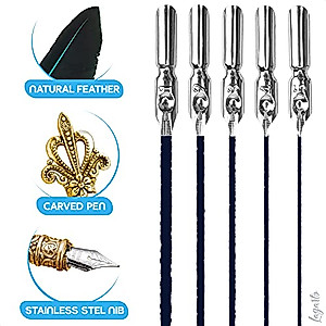 Feather Quill Pen and Ink Set - Calligraphy Pen Dip Set with Inkwell And Stand - Quill Pen Set with 5 Stainless Steel Nibs for Writing Paper, Letter Drawing Pen - Feather Pen Birthday Gift for Adults
