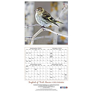 2021 Songbirds of North America 16-Month Wall Calendar