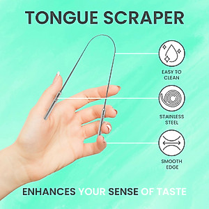Dale Audrey Tongue Scraper for Adults | Professional Flexible Metal Tongue Brush for Oral Care | Stainless Steel Tongue Cleaner, Help Fight Bad Breath, Easy to Use, Fresh Breath