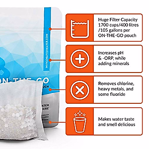 pH Vitality Stainless Steel Alkaline Water Pitcher - Alkaline Water Filter Pitcher Plus one pH Conscious 450ML Beige Wheat Straw Alkaline Water Bottle Bundle