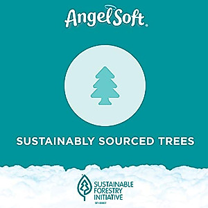 Angel Soft Toilet Paper, Bath Tissue, Packaging May Vary), 9 Count (Pack of 4)