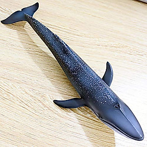 EOIVSH Sea Animal Figure Blue Whale Toy, Plastic Large Ocean Animal Figurine Realistic Educational Marine Model Figurine for Birthday Gifts, Party Favors, Kids Toys