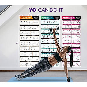 YoYork Exercise Posters for Stretching, Dumbell & Bodyweight Training - Home Gym & Fitness Workout w Minimal Equipment Needed - Get Full Body Workout at Home - 3 Laminated Posters Plus Workout Cards