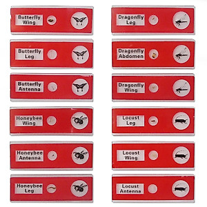 Prepared Microscope Slides Set of 48 pcs Animals Insects Plants Flowers Sample Specimens for Kids Education