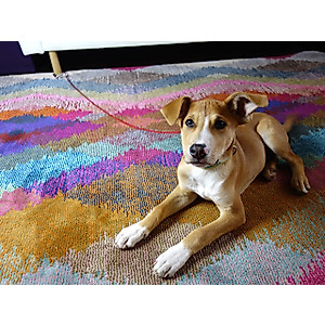 Leashboss 5 Foot Dog and Puppy Training Tie Out Cable (5 Foot Tether, Classic Red)