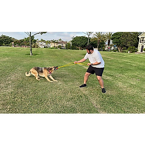 Runball Dog Rope Toy with Ball for Tug of War, Training, Fetch, Interactive Pull Toy, Teeth Cleaning Ball for Medium and Large Dogs, 10 Foot Rope and 2.75 Inch Ball