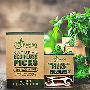 Natural Dental Floss Picks - Eco Friendly Cruelty Free & Vegan Tooth Flossers Pick Set with Biodegradable and Compostable BPA Free Handle & Zero Waste Packaging - 200 Pack (Mint Flavored)