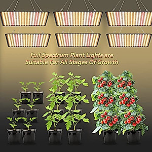 BAVIHOR Grow Light, (2-Pack) 200W LED Grow Lights for Indoor Plants Full Spectrum Plant Growing Lamps for Seedling Veg and Bloom