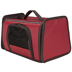 Kaytee Come Along Carrier Medium