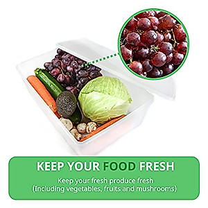 90% Chance of getting TWO for the price of ONE. 2.4 gal Produce Saver Containers for Refrigerator, Pizza Dough Proofing Box, Vegetable Storage Containers for Refrigerator, Pizza Storage Container, Marinating Container, Pizza Dough Box, Veggie Saver…