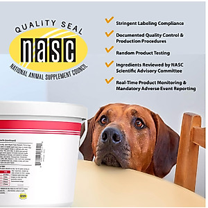 PHS Joint MAX Triple Strength (TS) Soft Chews for Dogs - Glucosamine, Chondroitin, MSM - Vitamins, Minerals, Antioxidants- Hip and Joint Support for Dogs - Made in USA - 2-Pack - 480 Soft Chews