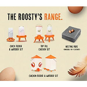 Roosty's - Top Fill Chicken Feeder and Waterer - 1.5KG/1.5L | Hanging, Small, Duck & Quail Feeder & Waterer | Chicken Supplies