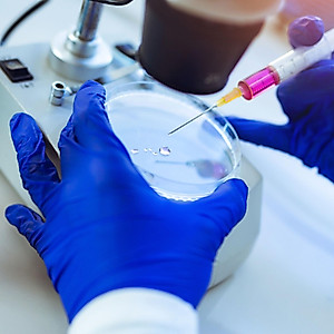 Petri Dishes Agar Plates, Plastic Petri Dish with Lid 70mm Petri Plates for Lab Experiment Biology Microbiology Studies School Teaching, 20pcs