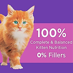 IAMS PROACTIVE HEALTH Healthy Kitten Dry Cat Food with Chicken Cat Kibble, 16 lb. Bag