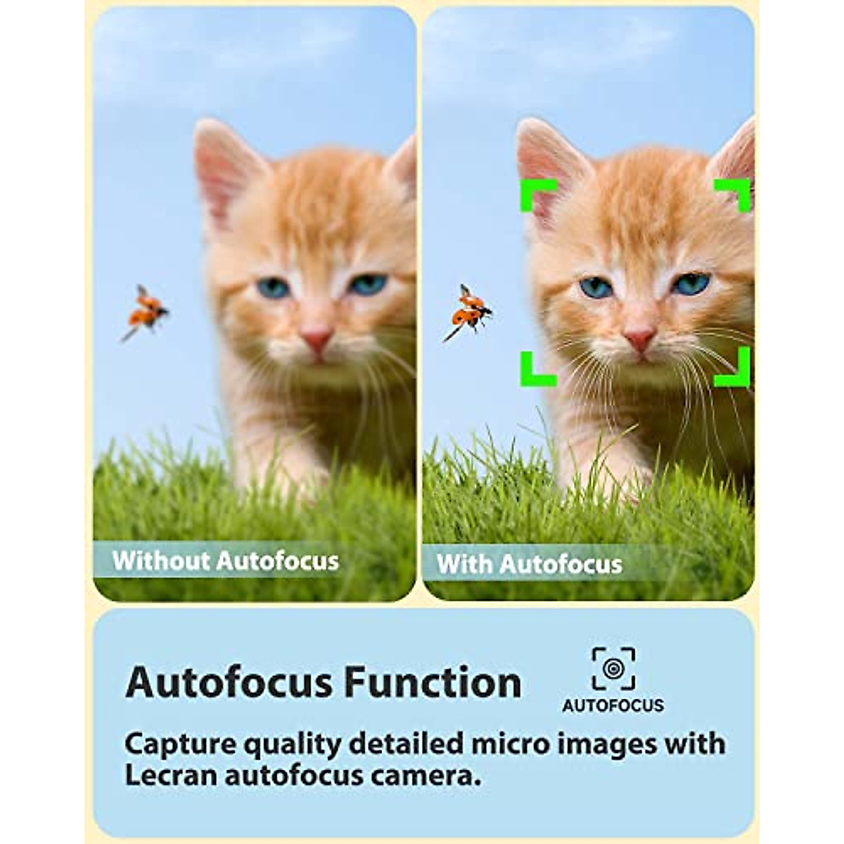 Kids Camera, Lecran Digital Camera Autofocus 1080P 48MP Vlogging Camera with 16X Digital Zoom, LCD Screen, Compact Portable Mini Toy Cameras Gift for Students, Teens, Kids, Girls, Boys (Sky Blue)