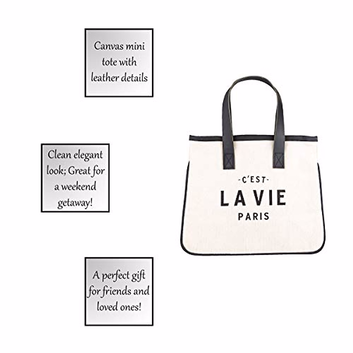 Santa Barbara Design Studio Tote Bag Hold Everything Collection Black and White 100% Cotton Canvas with Genuine Leather Handles, Mini, Paris