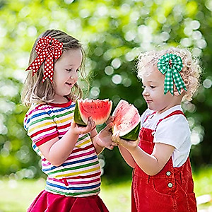 4 Rolls 20 Yards x 2.5 Inch Wired Ribbons Watermelon Printed Ribbons Check Plaid Dot Pattern Green Red Ribbons for Summer Wreaths, Wrapping, Floral Arrangements and DIY Crafting Supplies, 4 Styles