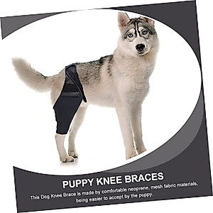 DRESSOOS Dog Foreleg Support Brace Dog Hindleg Cover Dog Leg Braces for Foreleg Dog Back Leg Protector Dog Bandages for Wounds Cat Leg Splint Dog Joint Supplies Pet Neoprene Fabric Puppy