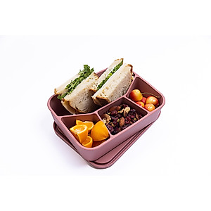 Spoondrift 100% Food Grade Eco-Friendly Leak-Proof Silicone Bento Box Lunchbox, For Child And Adult, 4 Compartment, Choose from 6 Colors, Includes 1 Box (Dark Pink)