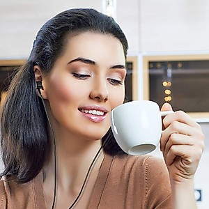 REPEDO Professional Metal Headphone in Ear Wired Earphone Heavy Bass Sound Quality Music Sport Headset Headsets with Built-in Microphone 3.5mm in-Ear Wired Earphone (D2)