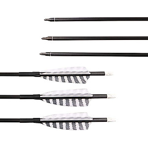 Huntingdoor 31 Inch Hunting Carbon Arrows, Replaceable Points Tips Arrows with 4 Inch Real Feather Fletching,400 Spine Targeting Arrows for Recurve Bow Longbow Practice White (Pack of 6)