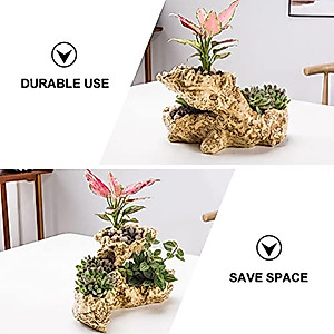 DOITOOL Tabletop Ornament Flowerpot Resin Clay Pot Cactus Desktop Flowerpot