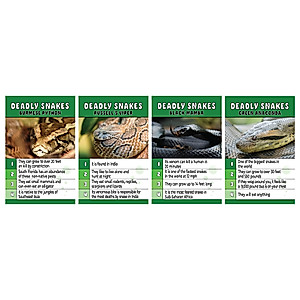 KosoGames - Where fun and education collide Go Fish Science