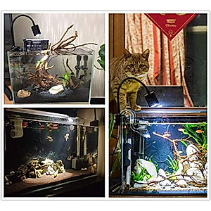 NILIPAL LED Aquarium Light - Freshwater Fish Tank Light Vivarium Terrarium Spotlight 3 Colors 3000K 4000K 6000K Cool Warm White for Planted Fish Tank (3 Colors)