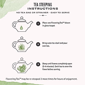 Numi Organic Flowering Tea Gift Set, 6 Handsewn Tea Blossoms & 16-Ounce Glass Teapot, Blooming Tea Flowers