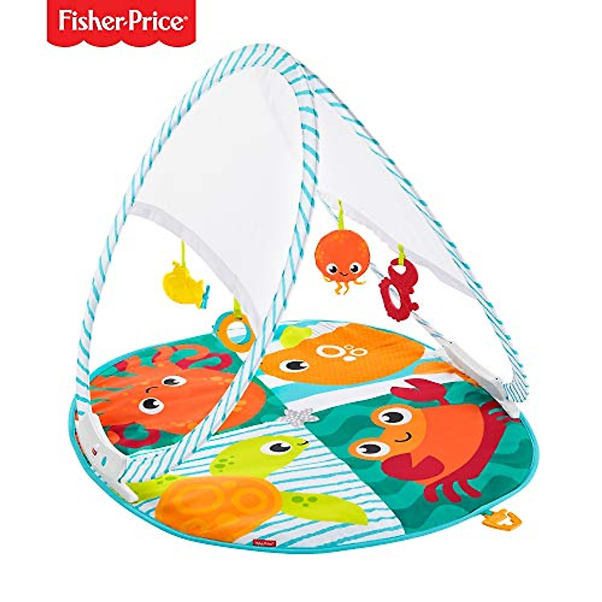 Fisher-Price Fold & Go Portable Gym