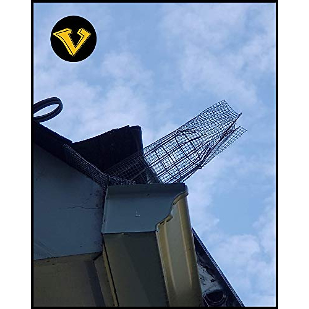 Verminators - Wildlife Evictions Squirrel Safety Exit Tunnel